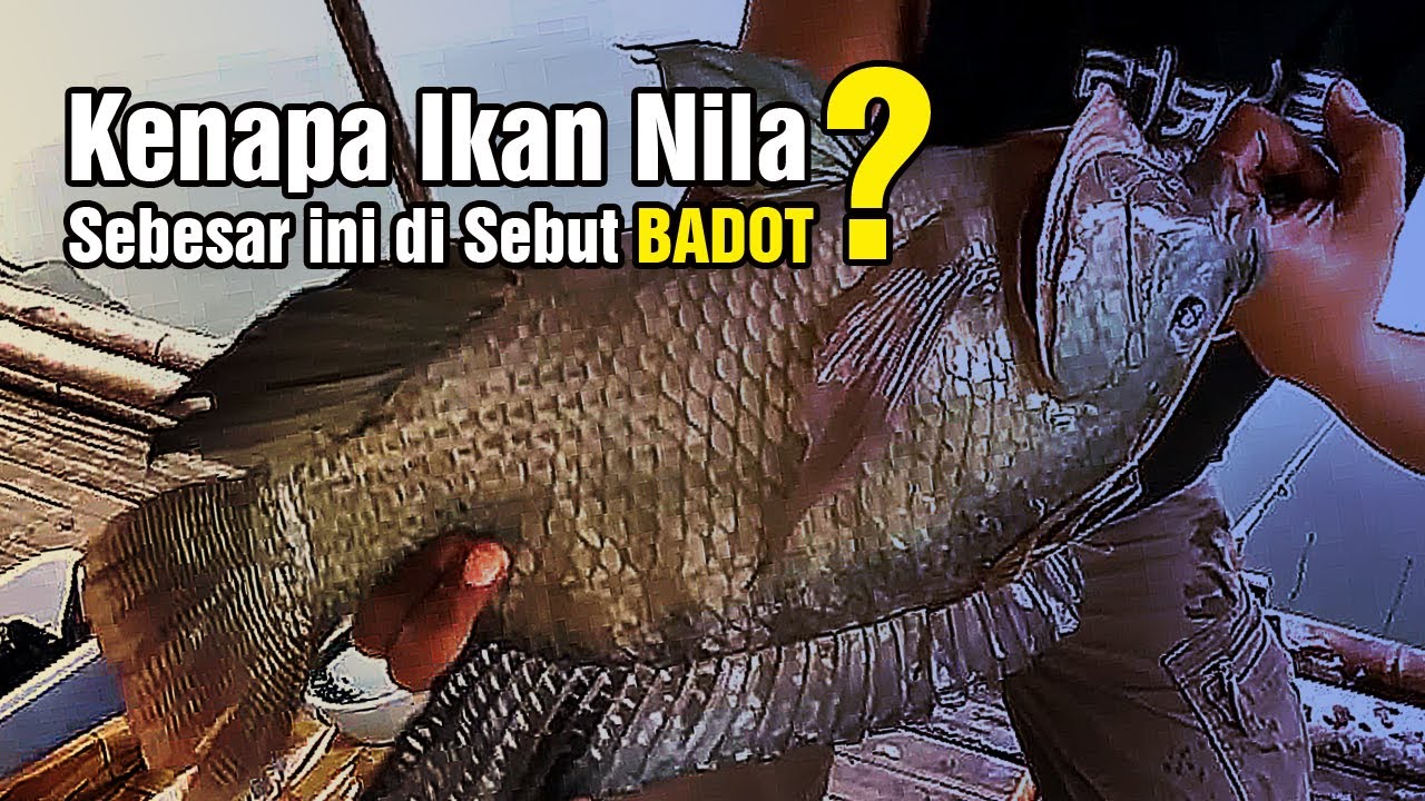 BADOT ITU ARTINYA. APA ? || Arti Badot dalam kamus Bhasa Sunda - YouTube