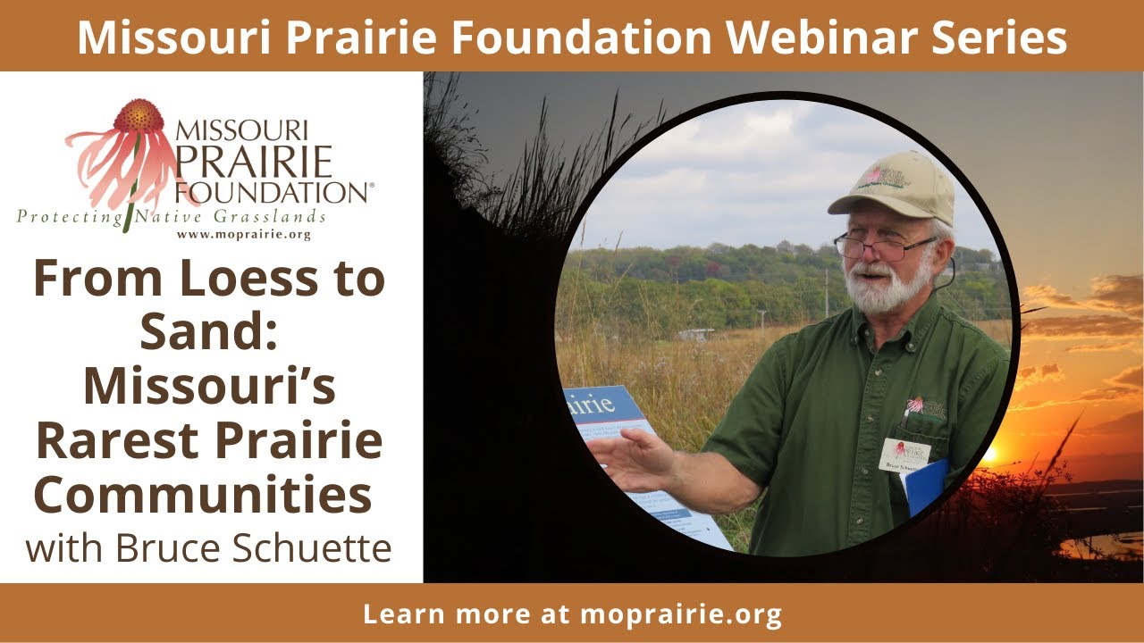 MPF Webinar: From Loess to Sand: Missouri’s Rarest Prairie Communities ...