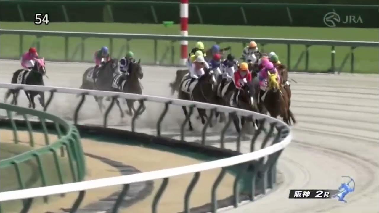2025年3月30日阪神2R 3歳未勝利 ダート1400m メイショウゴールド - YouTube