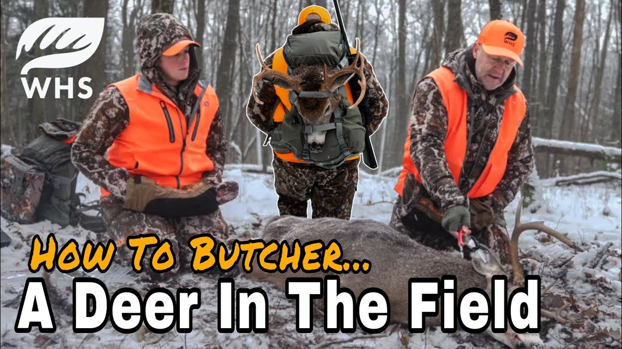 De-Boning And Butchering A Deer In The Field - YouTube