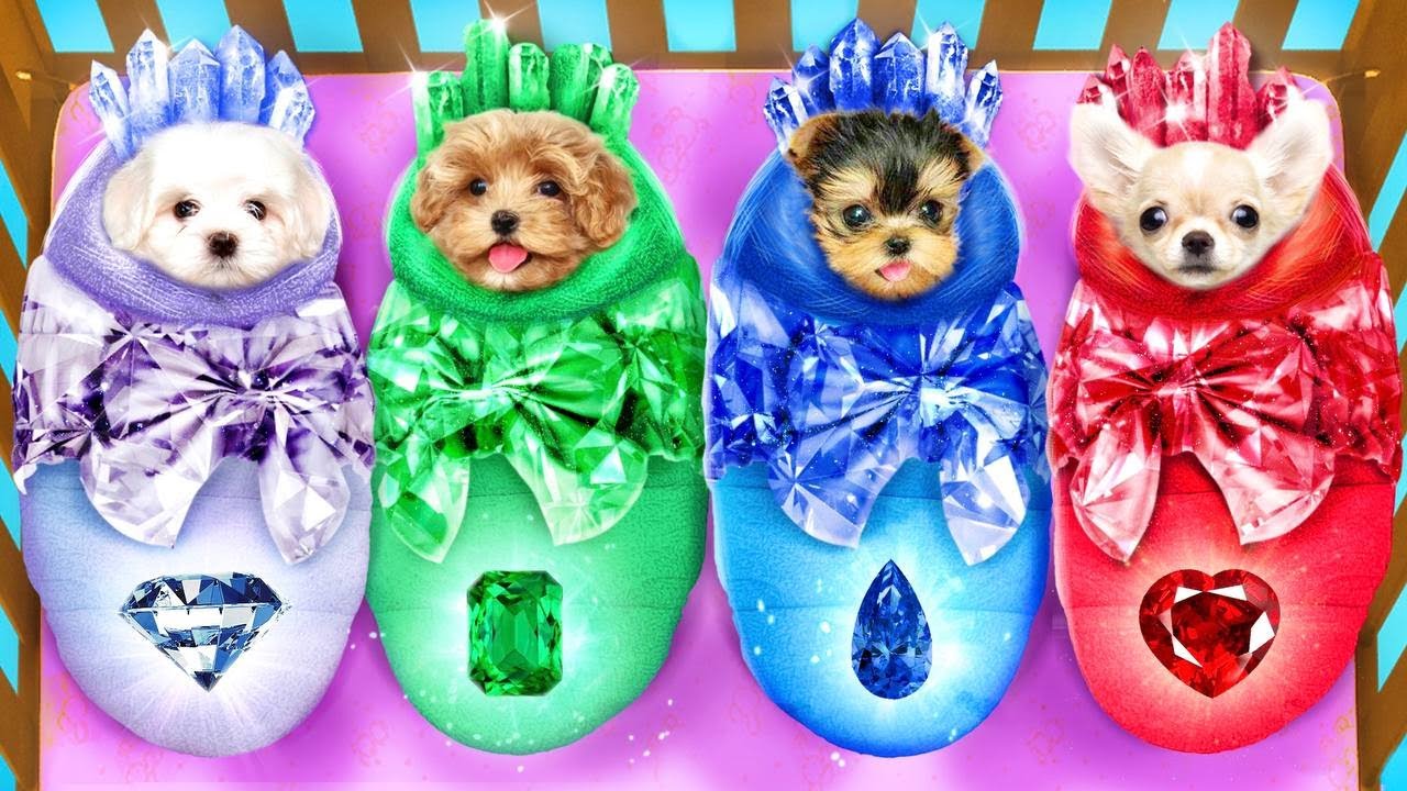 Emerald, Ruby, Diamond and Sapphire Dog! We Turned Into Jewellery Pets ...