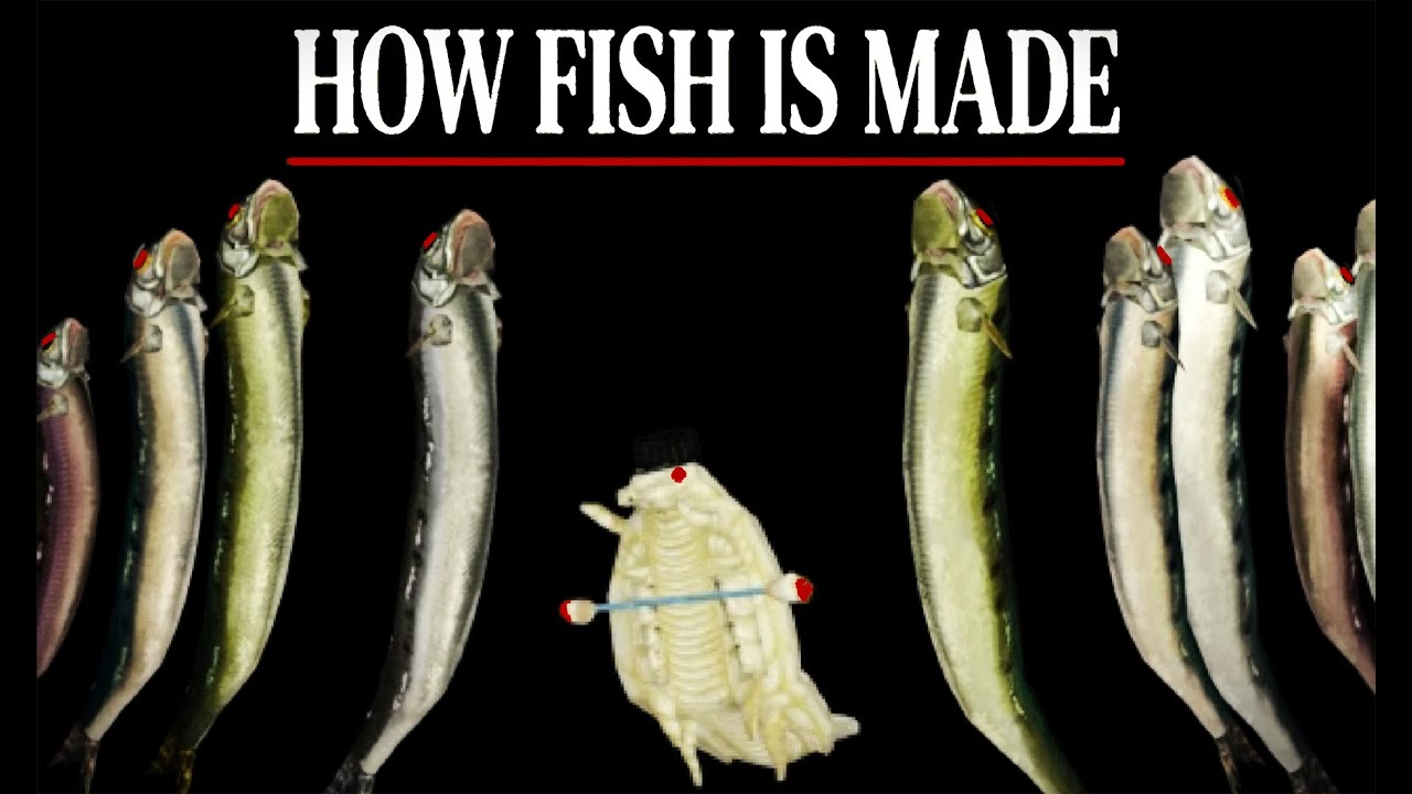 HOW FISH IS MADE (shocking) - YouTube