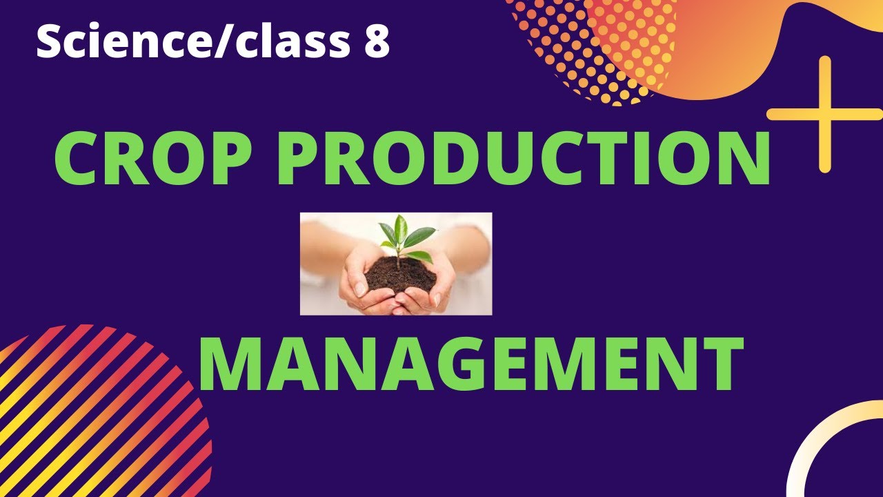 AGRICULTURAL PRACTICES/IMPORTANT QUESTIONS/CROP PRODUCTION AND ...