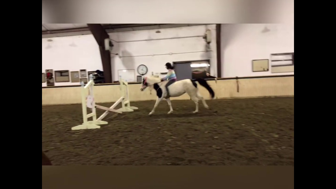 Bitless and bareback jumping! - YouTube