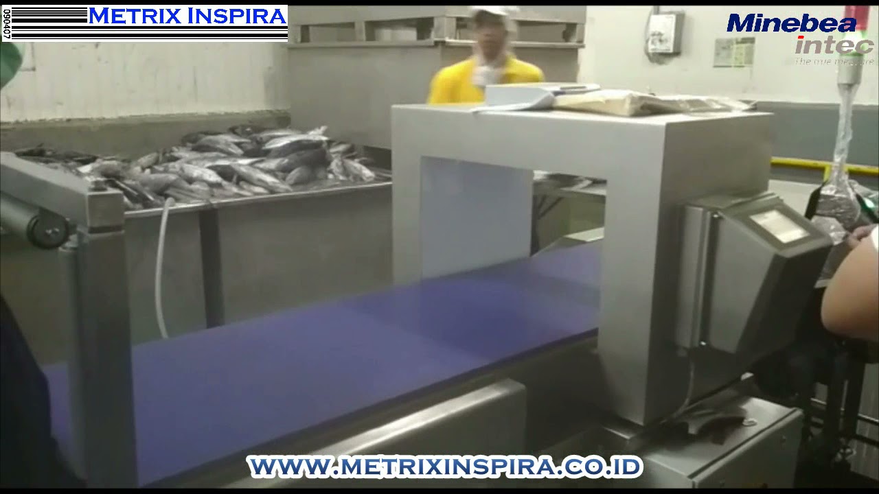 Metrix Inspira - Trial Minebea-Intec Metal Detector Type Vistus-C ...