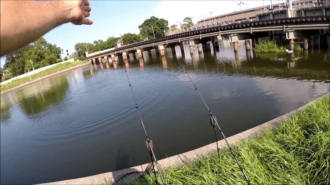 My New Digital Grip Scale And Canal Fishing - YouTube