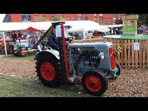 オールドタイマー　トラクター　Hürlimann　D50 Tractor　Old timer 2017 1001