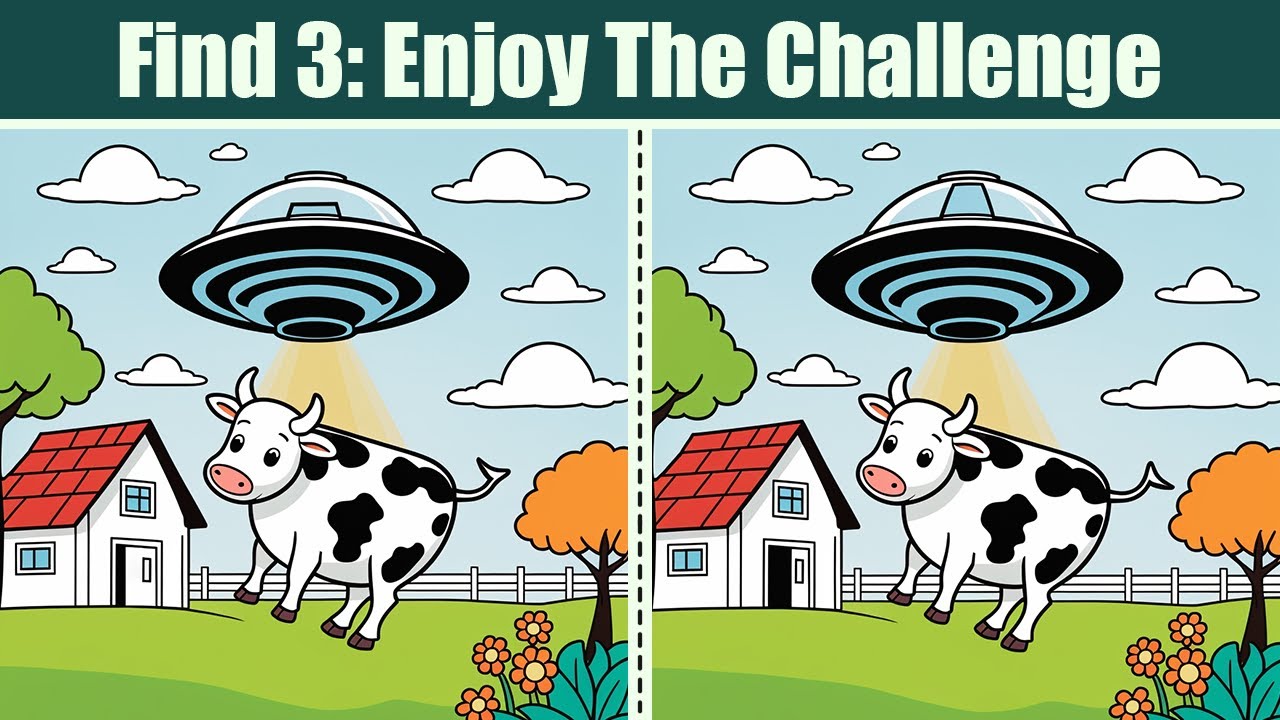 Spot The Difference : Time Challenge - Find 3 Fast! | Find The ...
