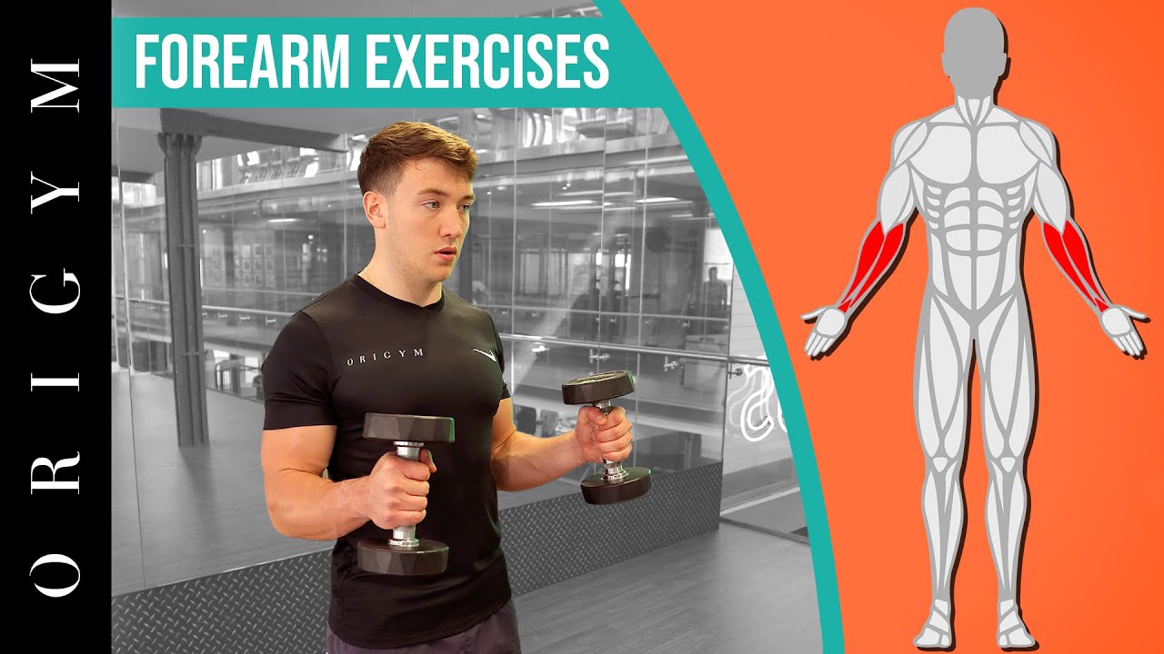 Best Forearm Exercises (Forearm Exercise Demos) - YouTube