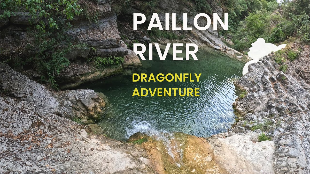 Dragonfly Adventure on Paillon River - YouTube