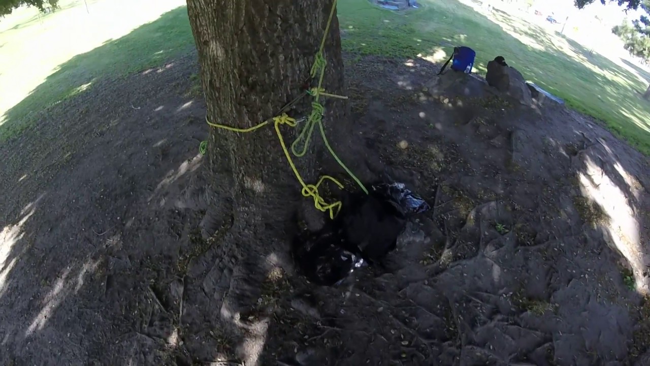 climbing line over couple of branches using SRT Rope Wrench - YouTube