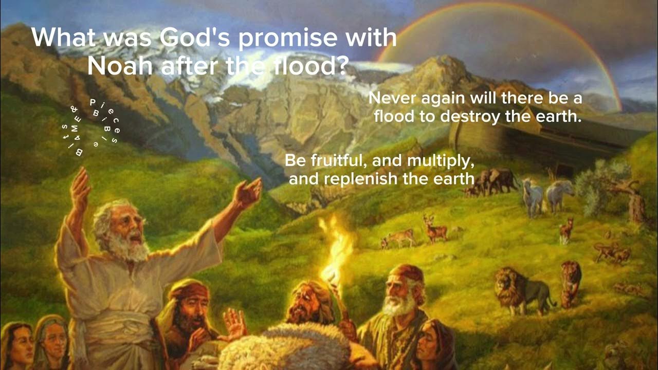 What was God's promise with Noah after the flood? - YouTube