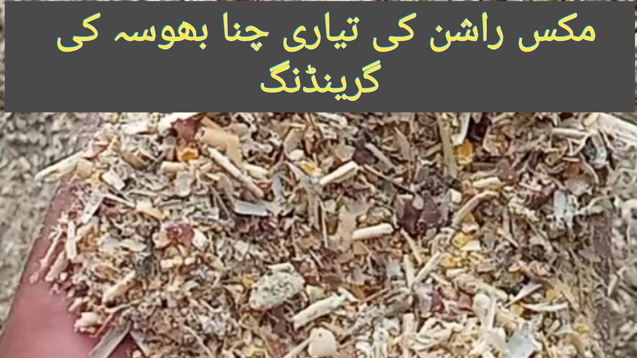 chana bhoosa ki grainding/bakriyan pakistan ki. - YouTube