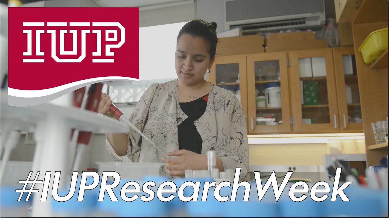 IUP Biochemistry Major Discusses Research and Undergraduate Scholars ...