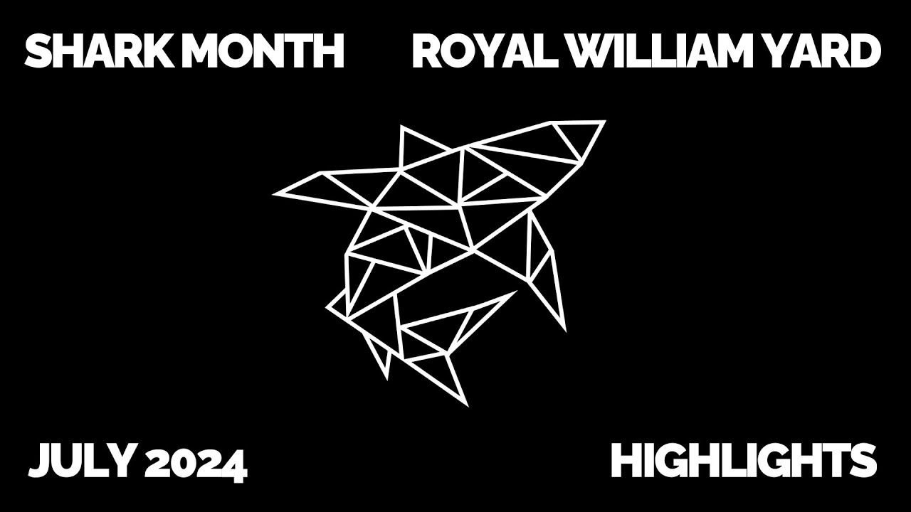 Highlights from Shark Month - Royal William Yard, Plymouth - YouTube