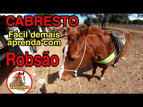 COMO FAZER CABRESTO DE 4 NÓS - O CABRESTO MAIS FÁCIL DO MUNDO CONFIRAM ...