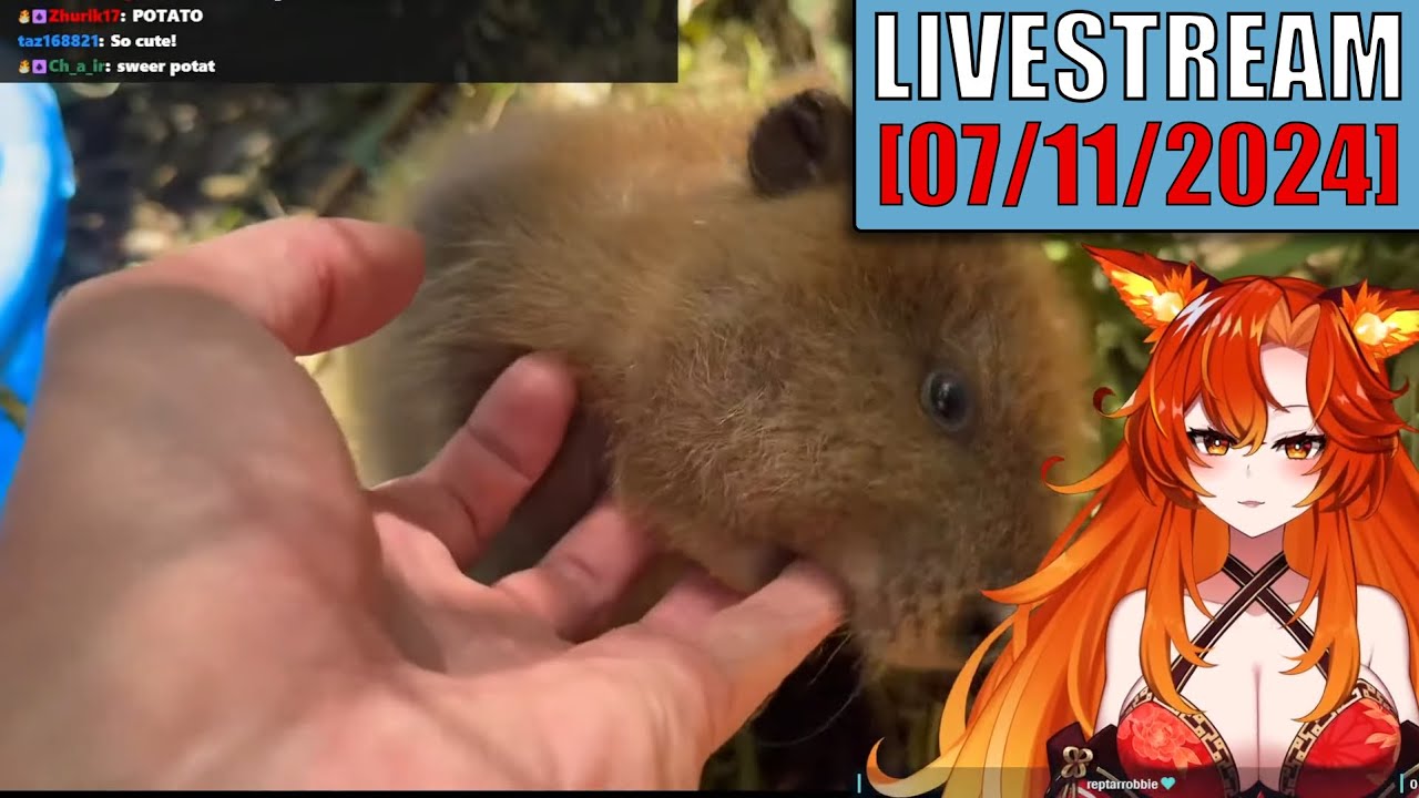 SmugAlana Vtuber Reacts | 🚨 WOW FIRE FOX?? lmao never heard that one ...