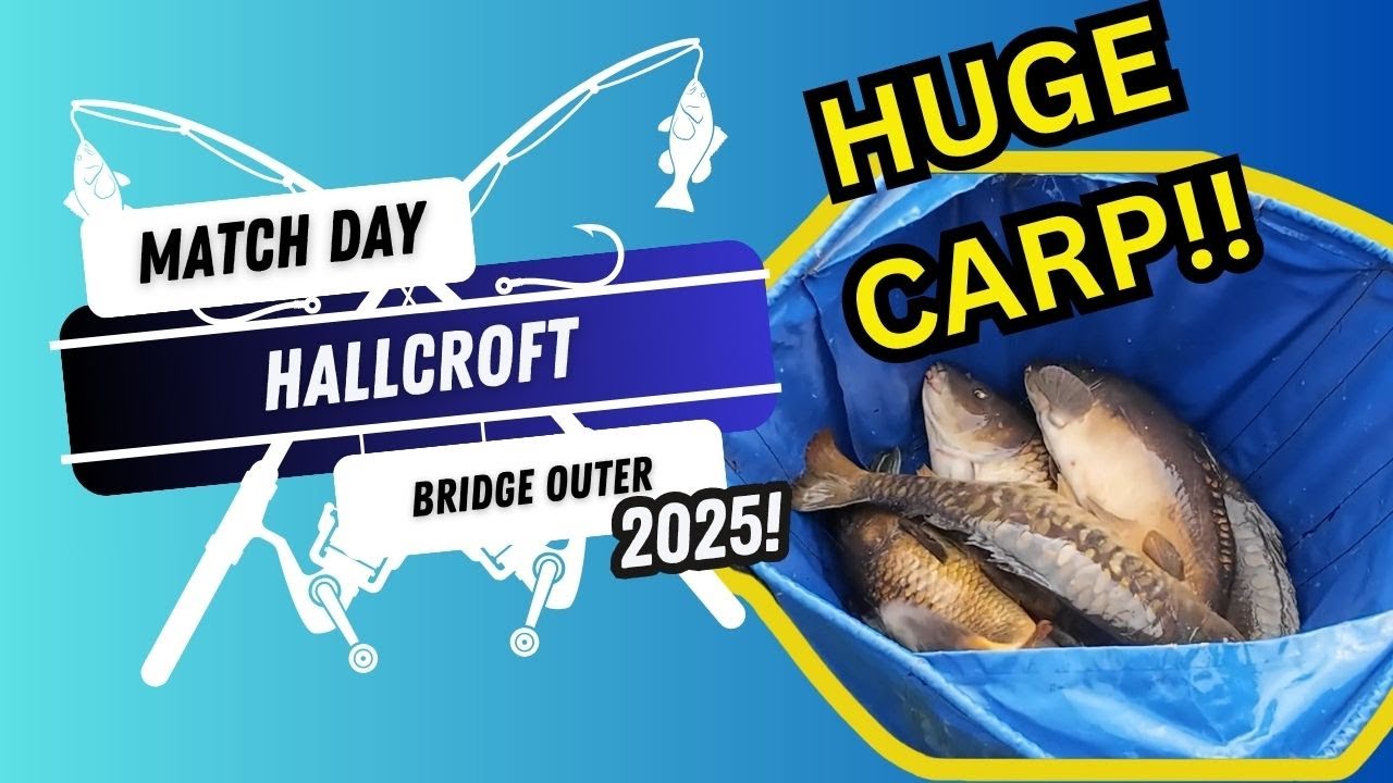 LIVE Match Fishing at Hallcroft – Massive Carp Surprise on a Tough Day ...