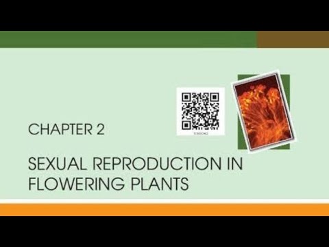 AAYUSH NEET ACADEMY Botany Class 12 chapter :2 Sexual reproduction in ...
