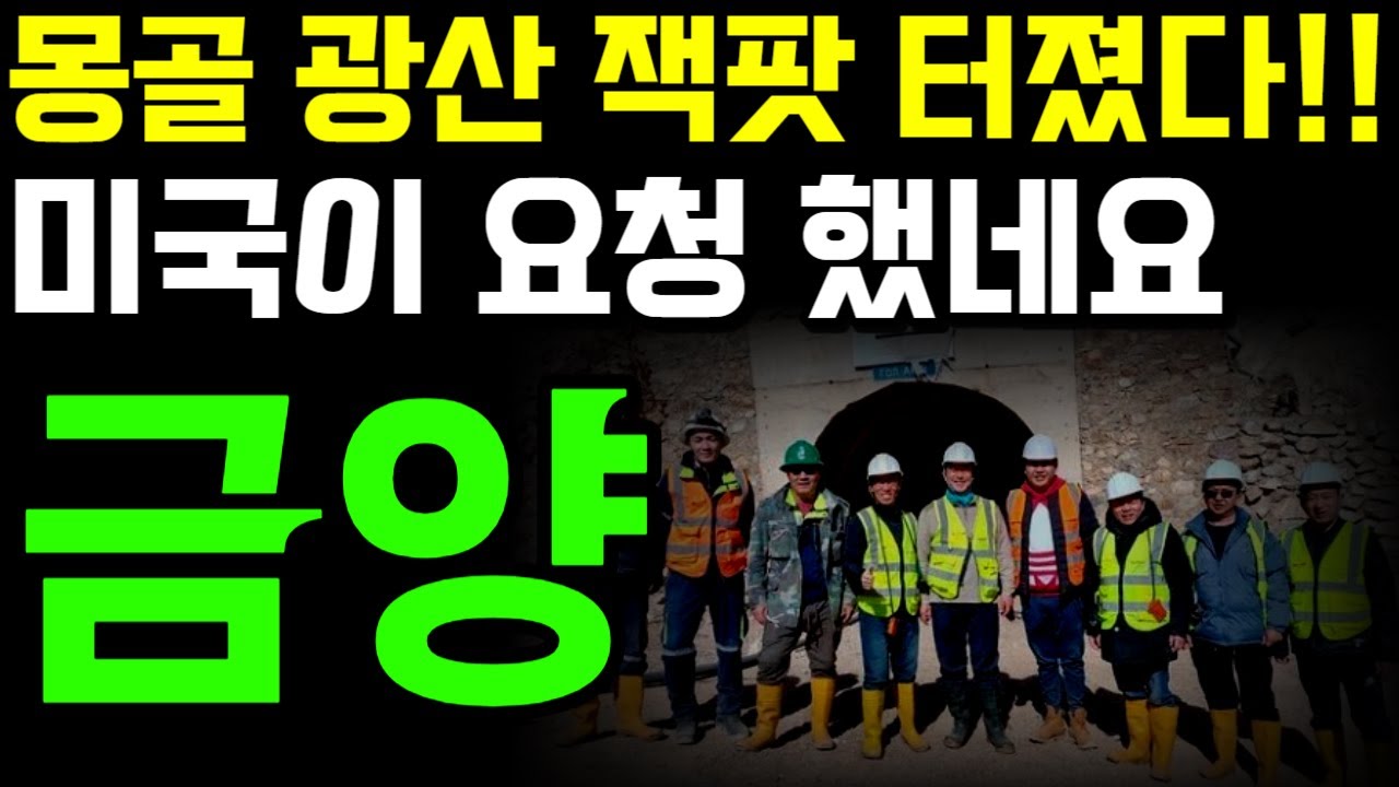 금양긴급속보 금양 2차전지 4680배터리 테슬라 금양주가전망 금양주가 삼성전자 서정덕tv 박순혁 에코프로