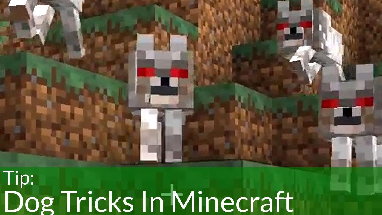Dog Tricks In Minecraft - YouTube