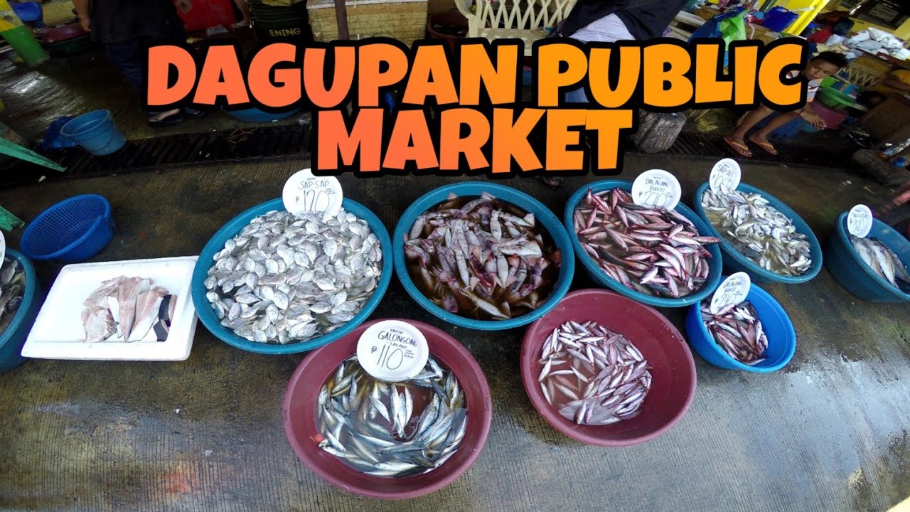 PHILIPPINES MILKFISH CAPITAL - Pangasinan - Dagupan Public Market - YouTube