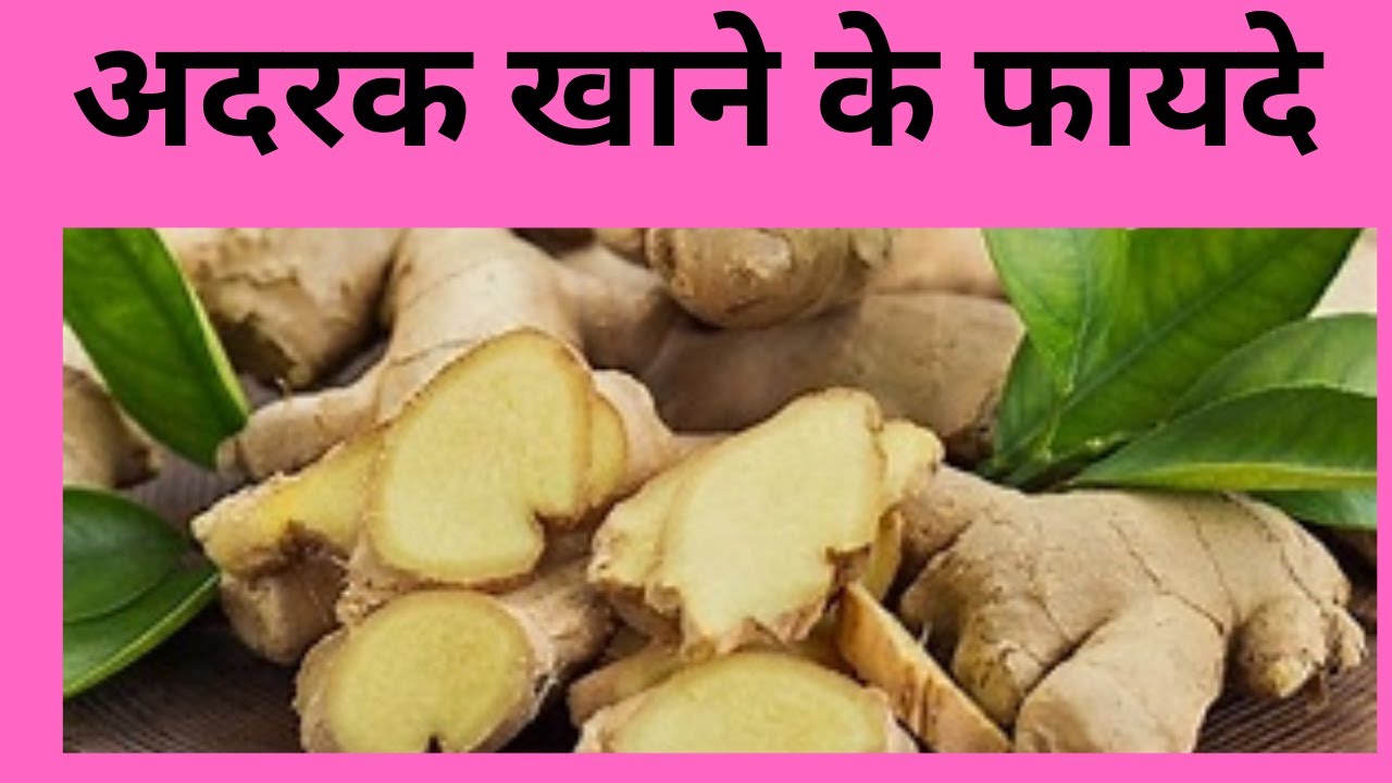 Adrak Khane Ke Fayade |अदरक खाने के फायदे | Benefits Of Using Ginger ...