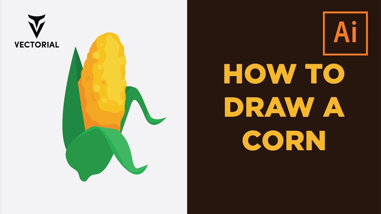 How to Draw Corn in ADobe Illustrator - YouTube