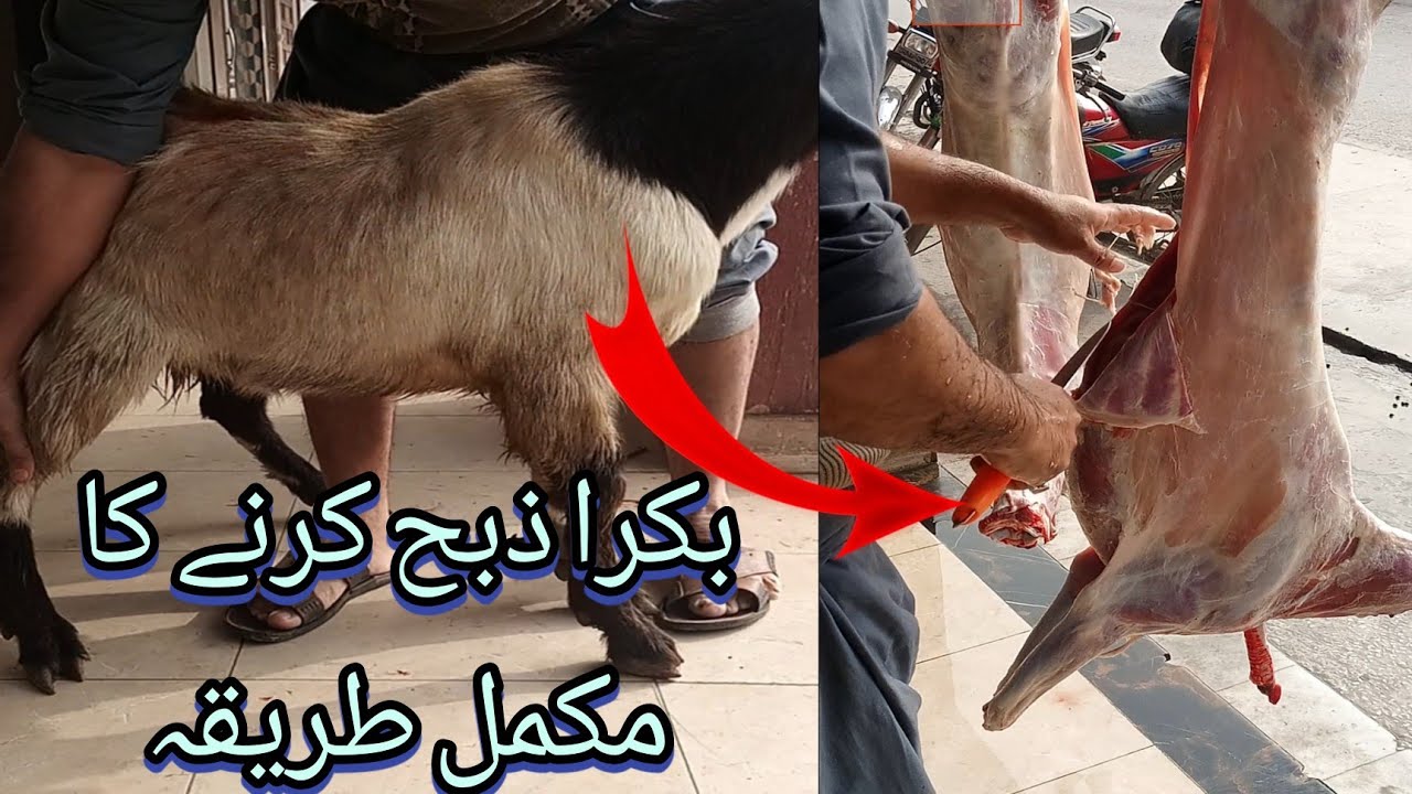 Mutton cutting Full mutton cutting skills by skills - YouTube