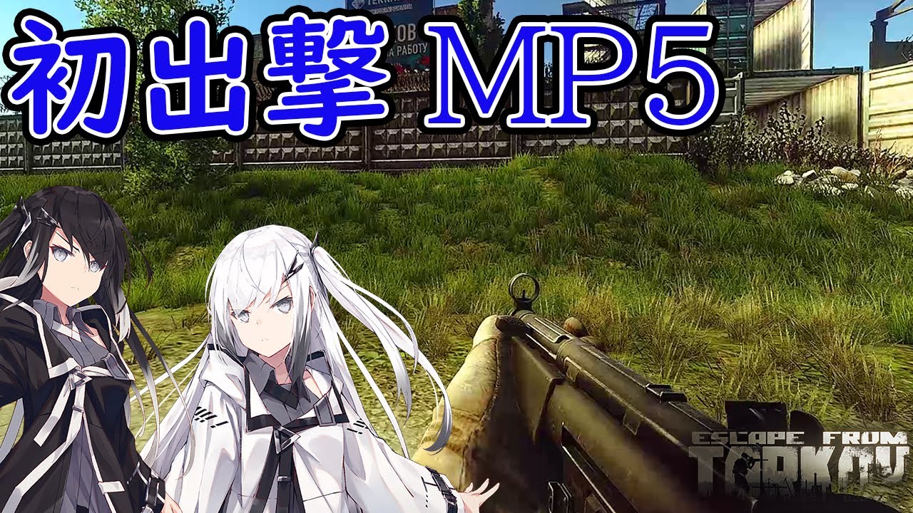 【EFT】ワイプ後はMP5がド安定/EscapeFromTarkov【タルコフ】【CoeFont】 - YouTube