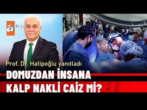 Dünyada bir ilk: Domuz kalbi insana nakledildi. Prof. Nihat Hatipoğlu'ndan dini yorum - 11 ocak 2022