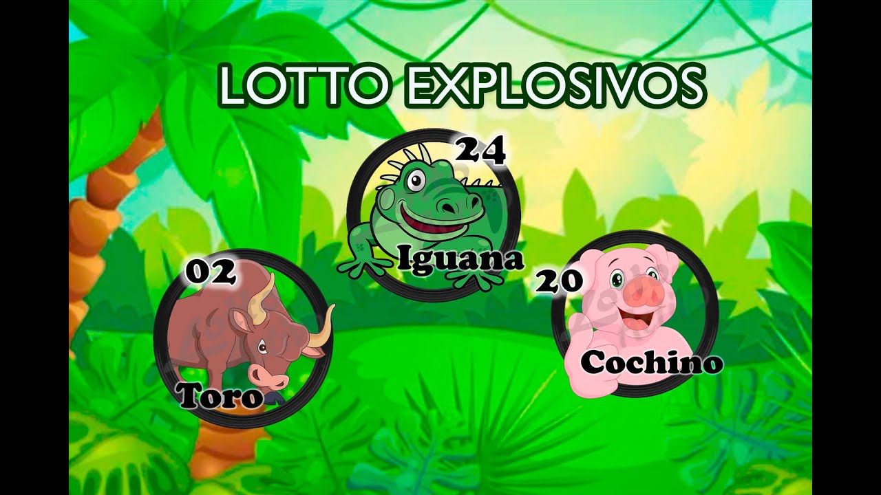 JUEVES 02-05-2024 DATOS LOTTO ACTIVO, GRANJITA, GUACHARO, SELVA PLUS ...