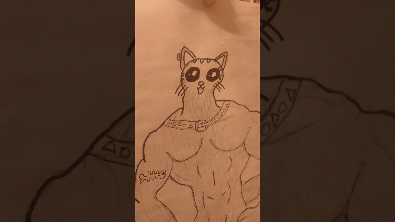 showing my drawing of a buff cat - YouTube