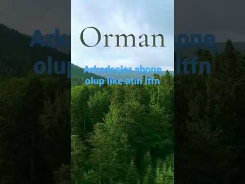 Tam huzur verici video için 10 like