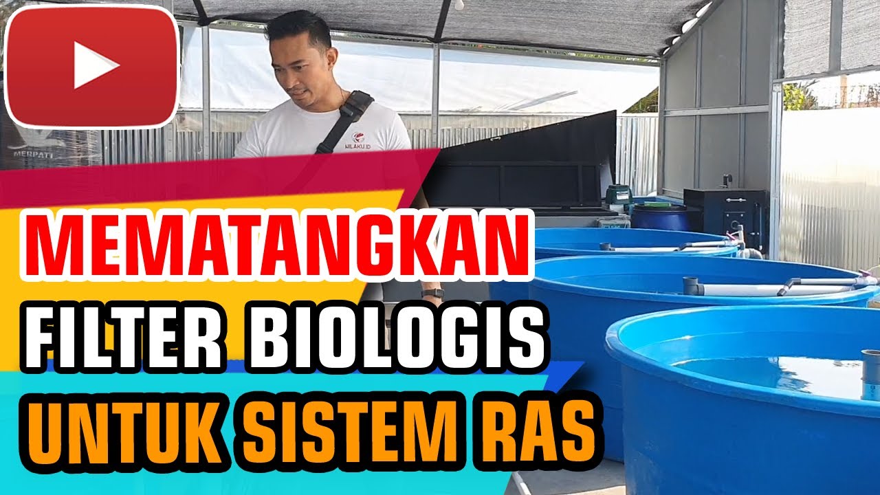 SISTEM RAS MODERN UNTUK IKAN NILA - AYODHA FARM - YouTube