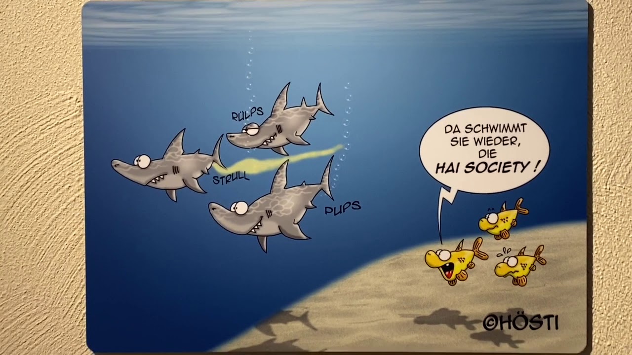 Welsum 1 Video - YouTube