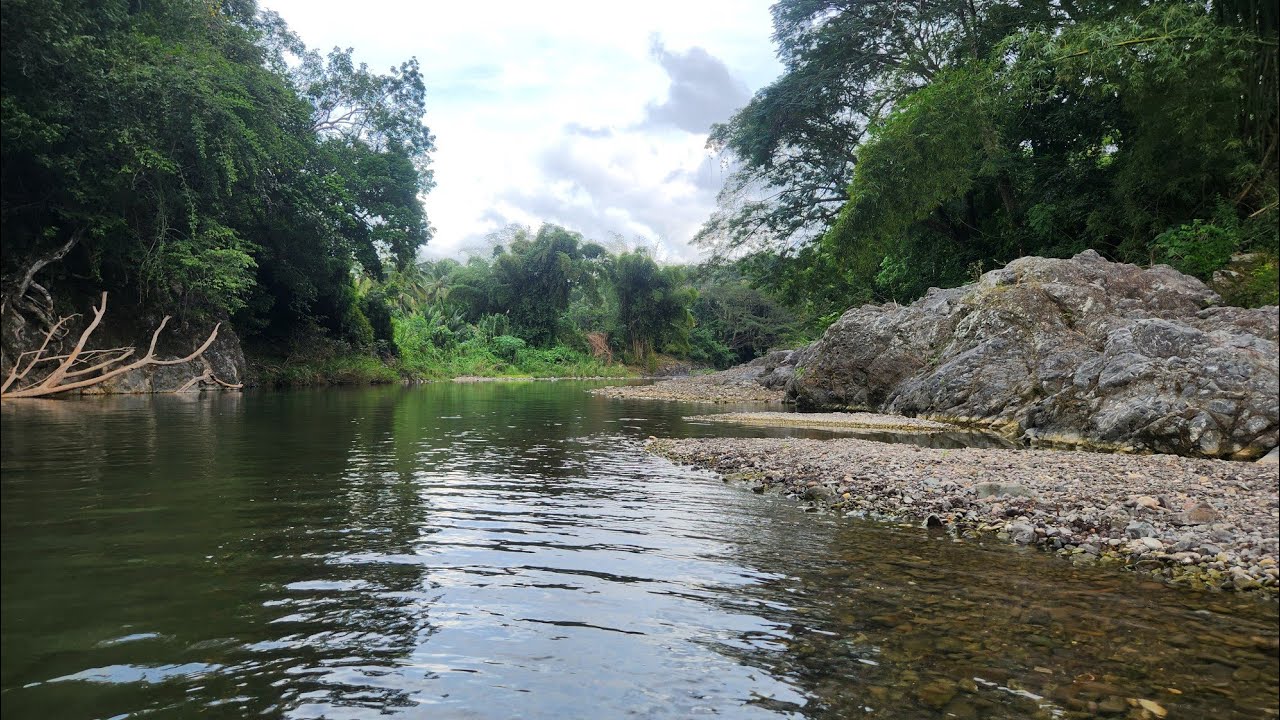 Hiking up Ballards River Clarendon Jamaica - YouTube
