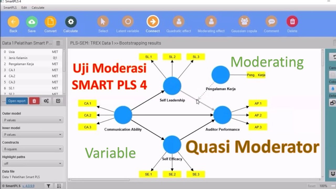 Uji Variable Moderasi dan Quasi Moderasi Menggunakan SMART PLS 4 # ...