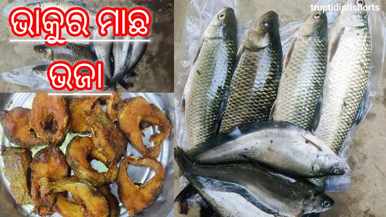 ଭାକୁର ମାଛ ଭଜା 🤤| Macha Bhaja Recipe in Odia| Fish Fry Recipe in Odia ...