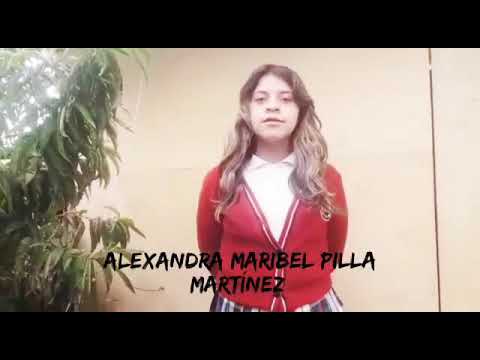 Pilla Alexandra video PROYECTO DE GRADO 2020 - YouTube
