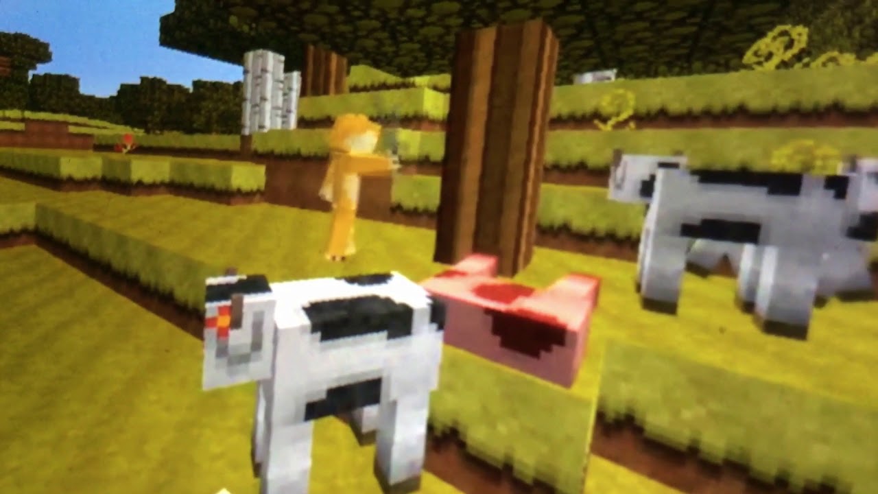 Doge plays minecraft - YouTube