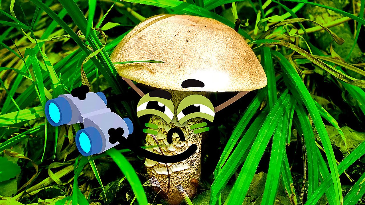 BRAVE FRUITS AND RISKY VEGGIES WANT TO ATTACK CLUMSY THINGS - 24/7 ...