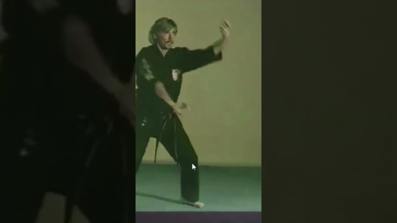 Estado Líquido en KENPO | Kenpo Karate | Larry Tatum - YouTube