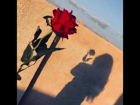 tera naam jis lamhe me lu .. whatsapp status ❤️