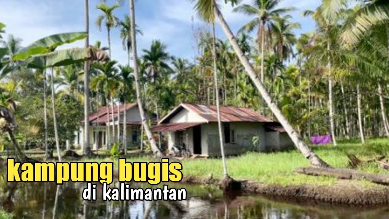 Perkampungan Bugis di Kalimantan - YouTube