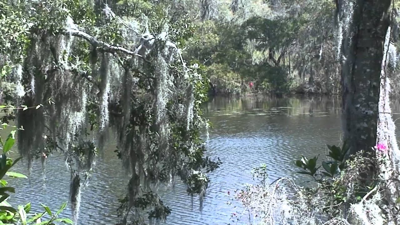 Airlie Gardens - YouTube