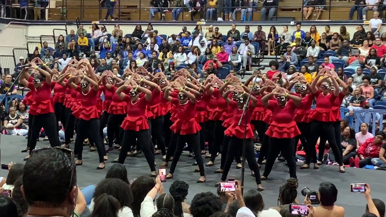 Delta Sigma Theta - AMazing Alpha Mu Chapter🐘🔺 Spr19 NCAT - YouTube