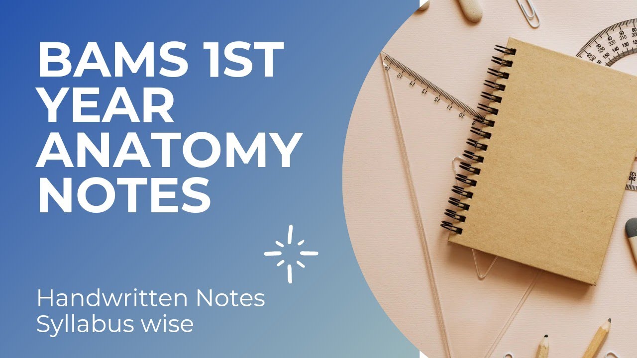 Bams 1st Year Anatomy Notes || Handwritten || Download # ...