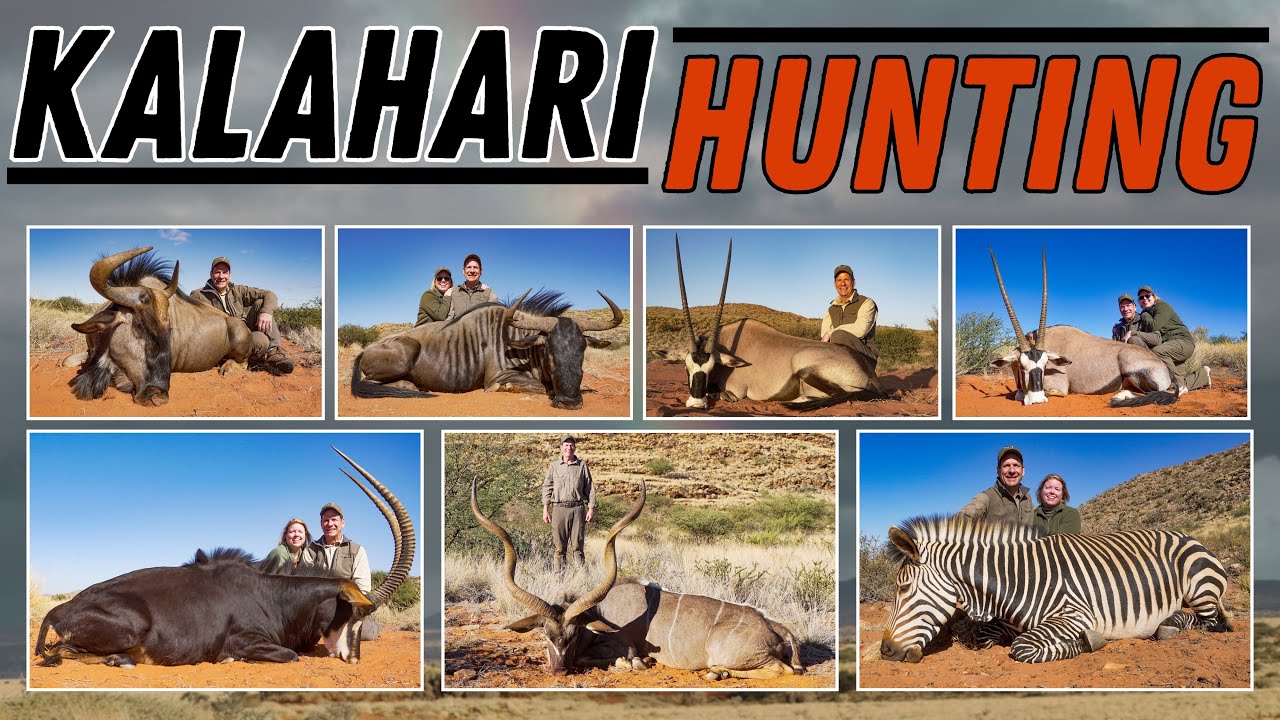 Hunting in the Kalahari Desert - Diamonds of the Kalahari - YouTube