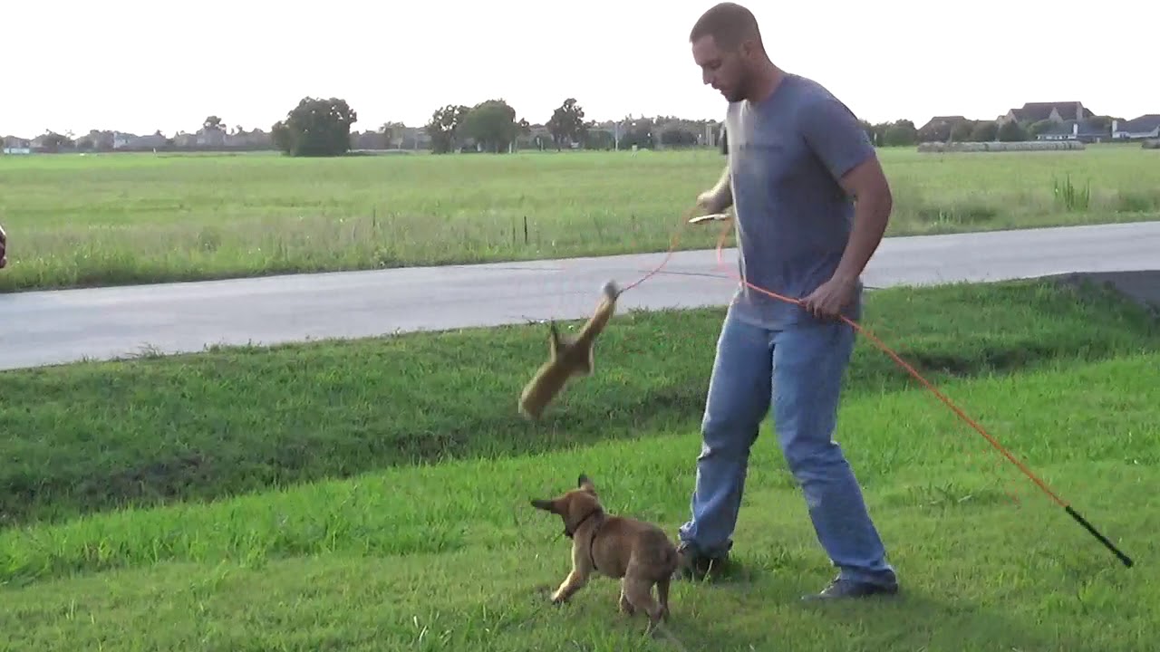 Bite Work Stage 1 - YouTube